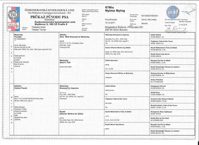 G'Miu Nyima-Nying aka Miri :: Zestodulek